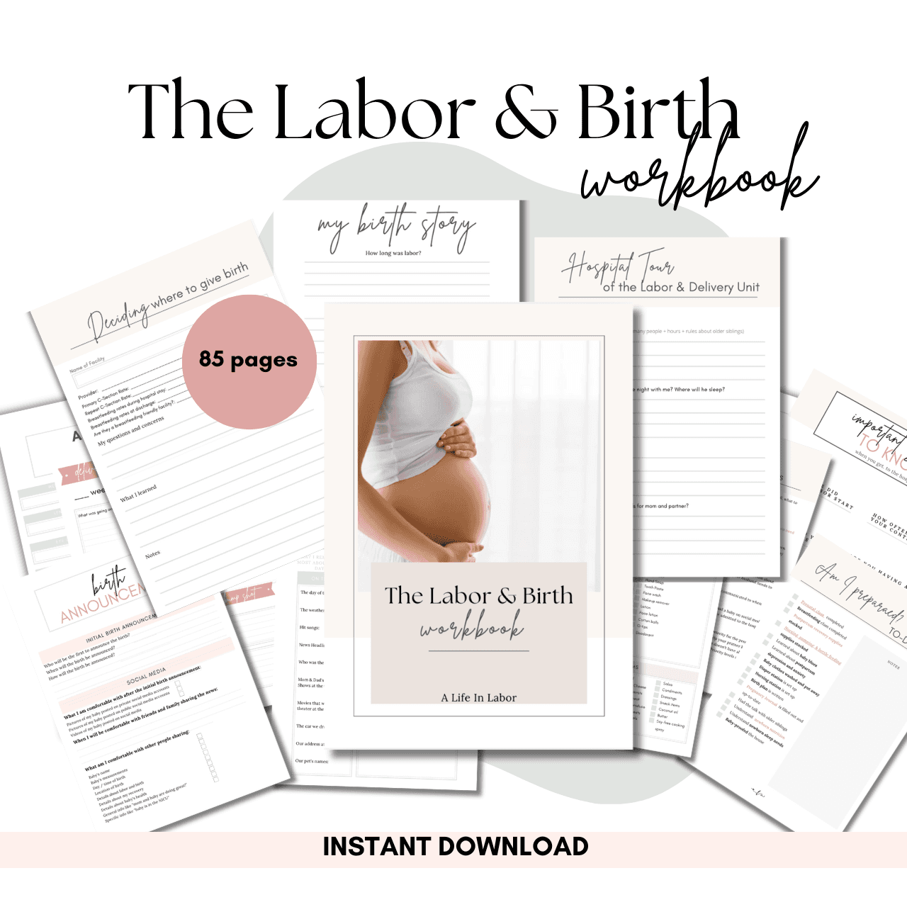 The Labor & Birth Workbook